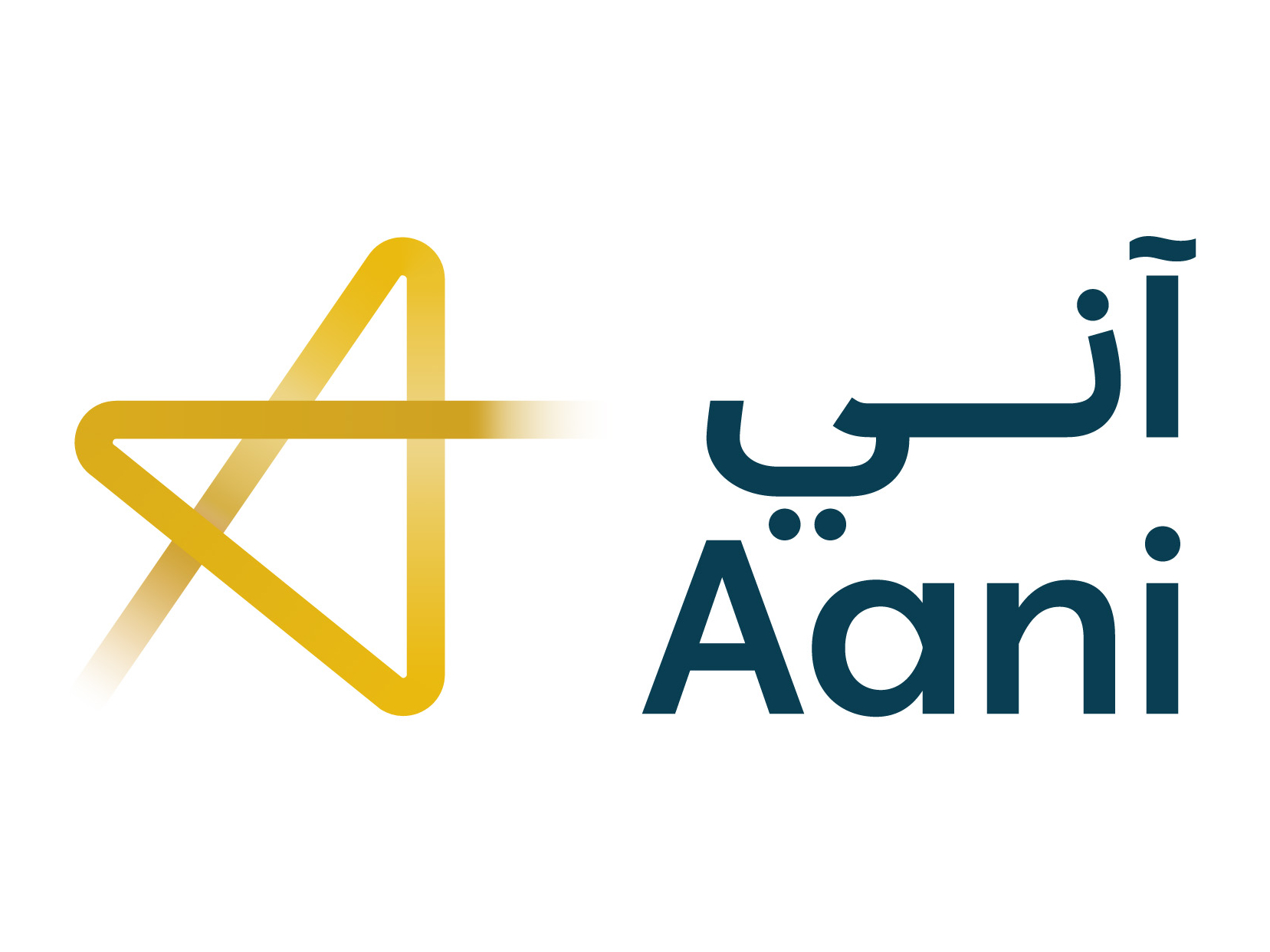 Want to send money in seconds? Behind Aani, the UAE’s newest instant ...