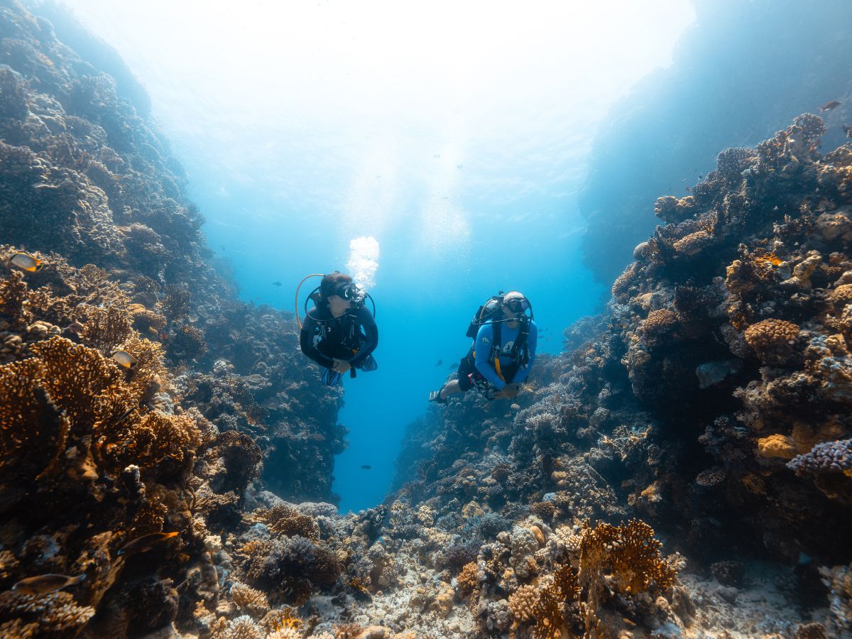 How is Saudi Arabia's Red Sea Global redefining the face of luxury ...