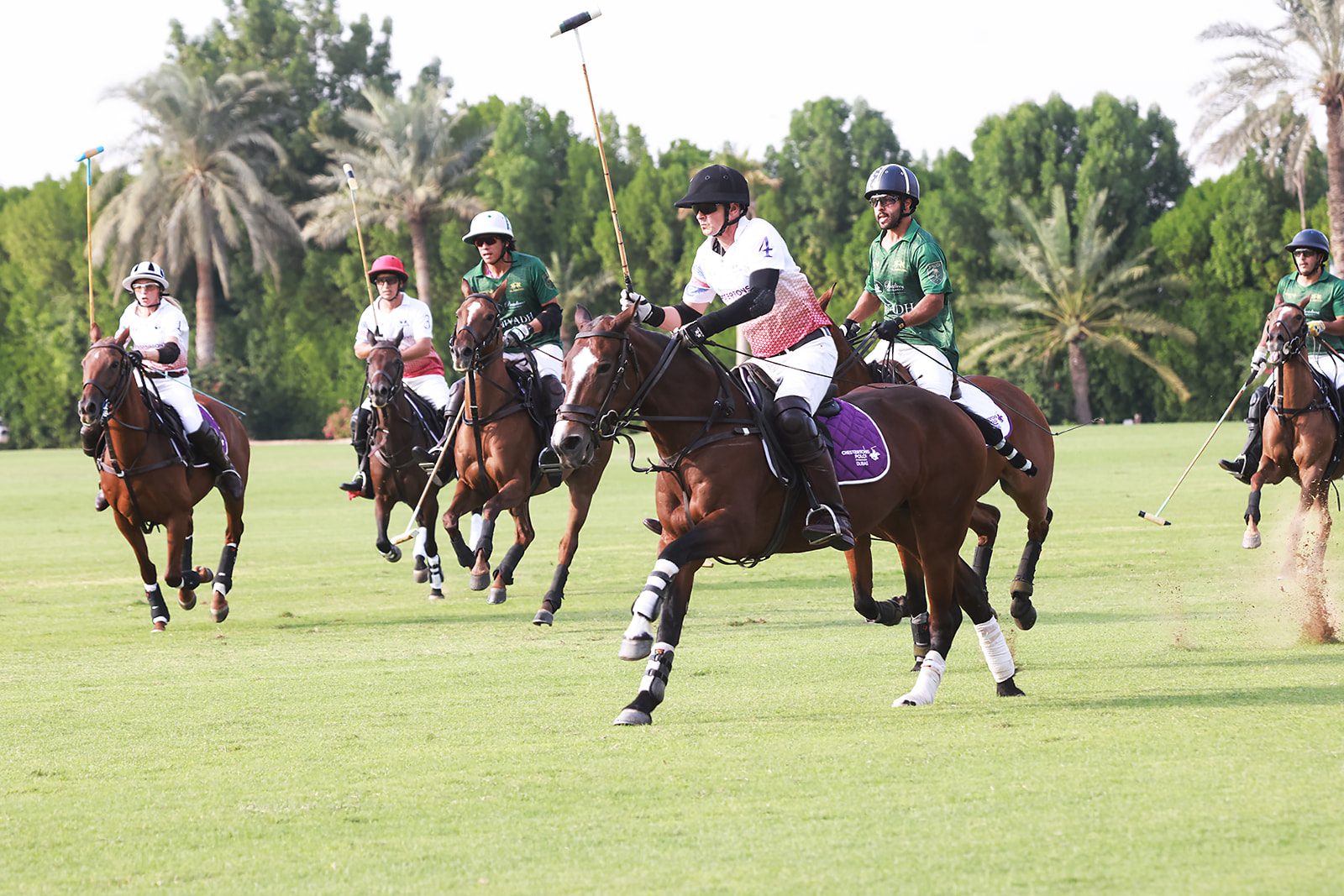 Polo stars set to shine at Chestertons MENA polo in the park - Finance ...