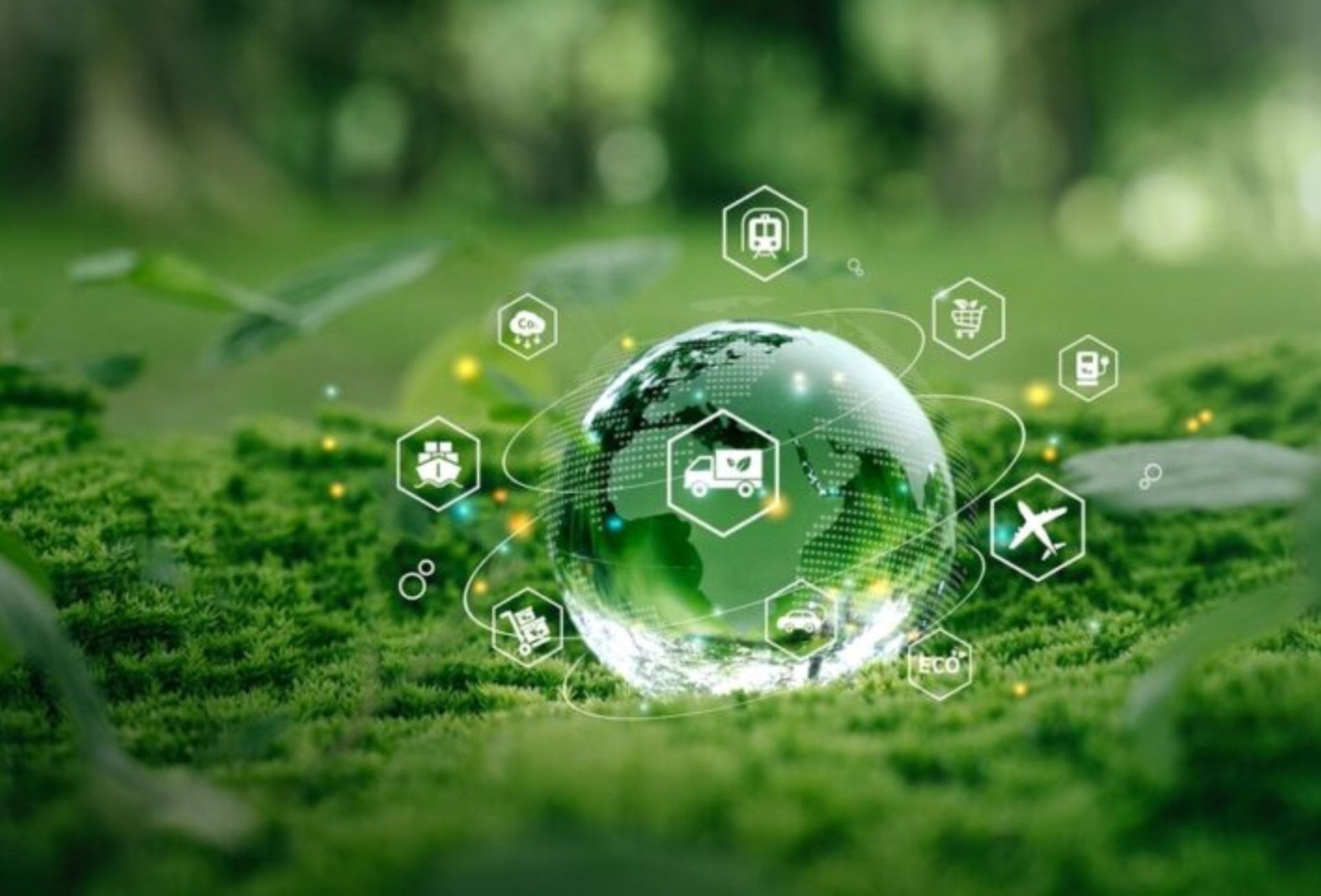 Explained: the role of accountants in building a sustainable future ...